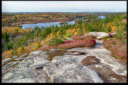 The Bluff Wilderness Trail - Map, Guide & Virtual Tour | Halifax, NS