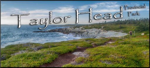 Taylor Head Provincial Park - Hiking Trail Map, Guide & Virtual Tour